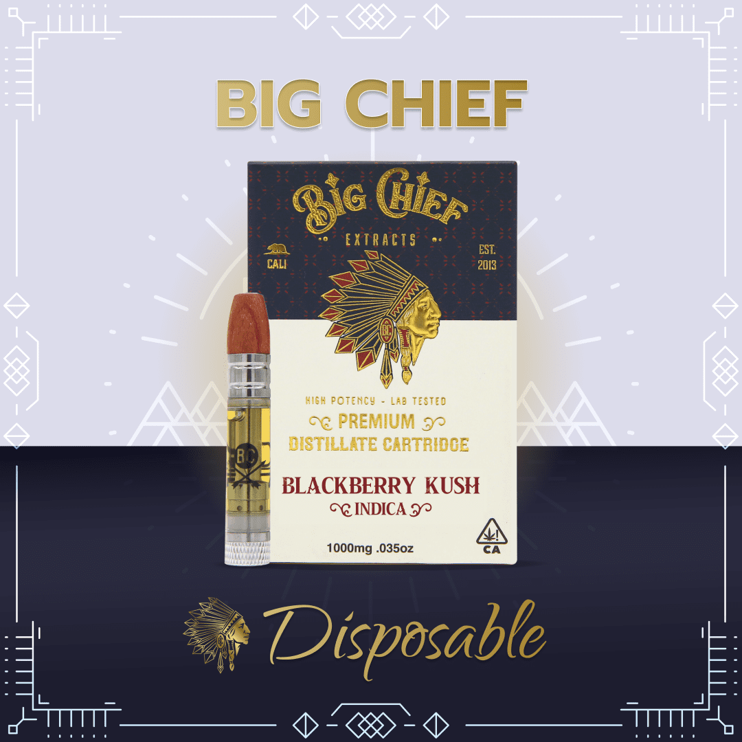 หลอดน้ำมันกัญชา Big Chief Disposable พอต Vape Pod กัญชาไฟฟ้า - Best Vape